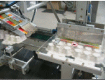 Egg carton labeller - Compact Labelling